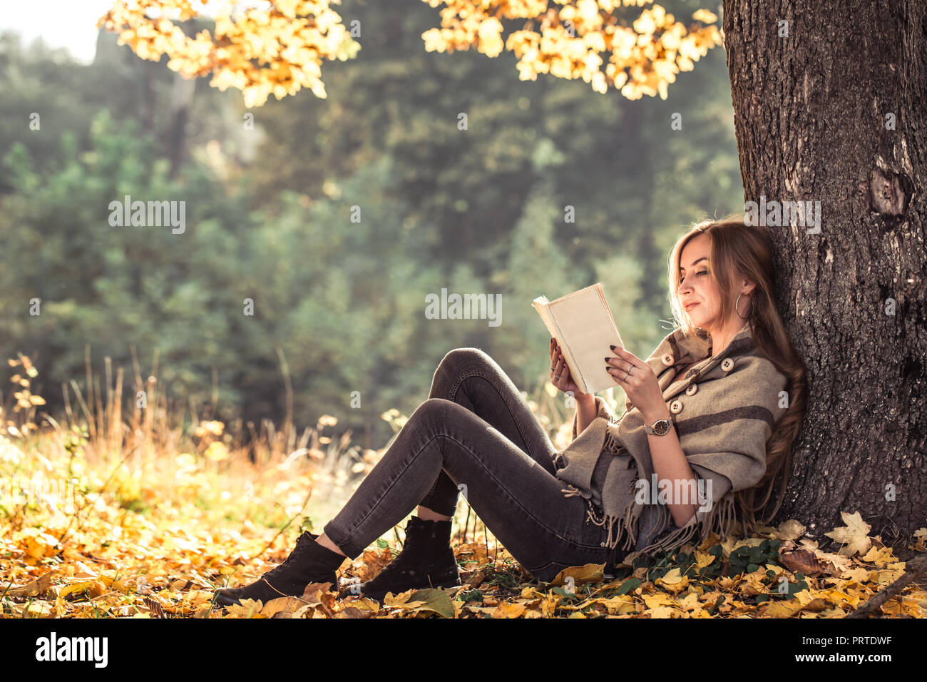 beautiful girl reading a book in autumn forest , autumn season concept ...