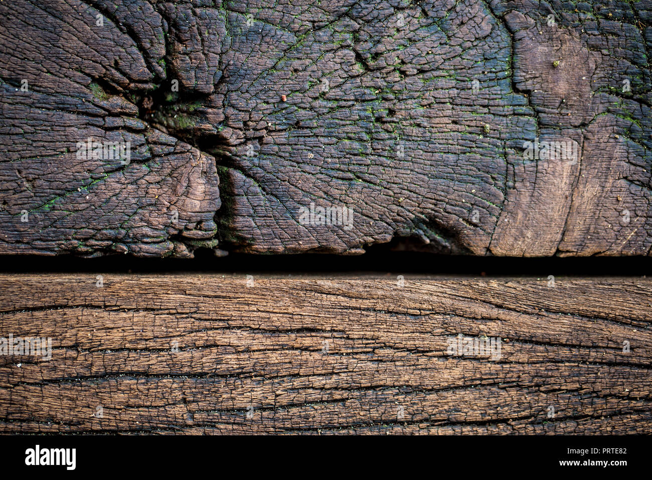 beautiful wood background from the old palm tree , concept, background ...