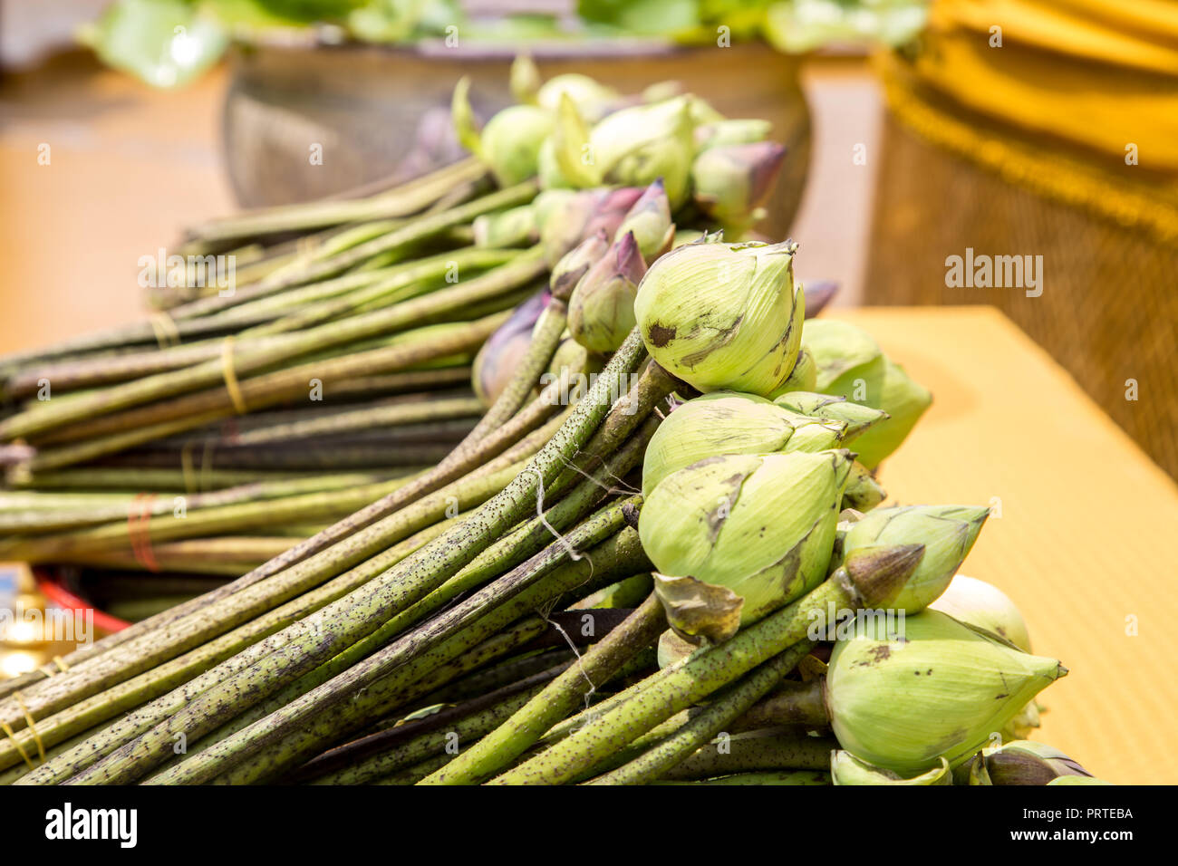 White lotus to make merit at the temple, Pray lotus for Buddhist Stock ...