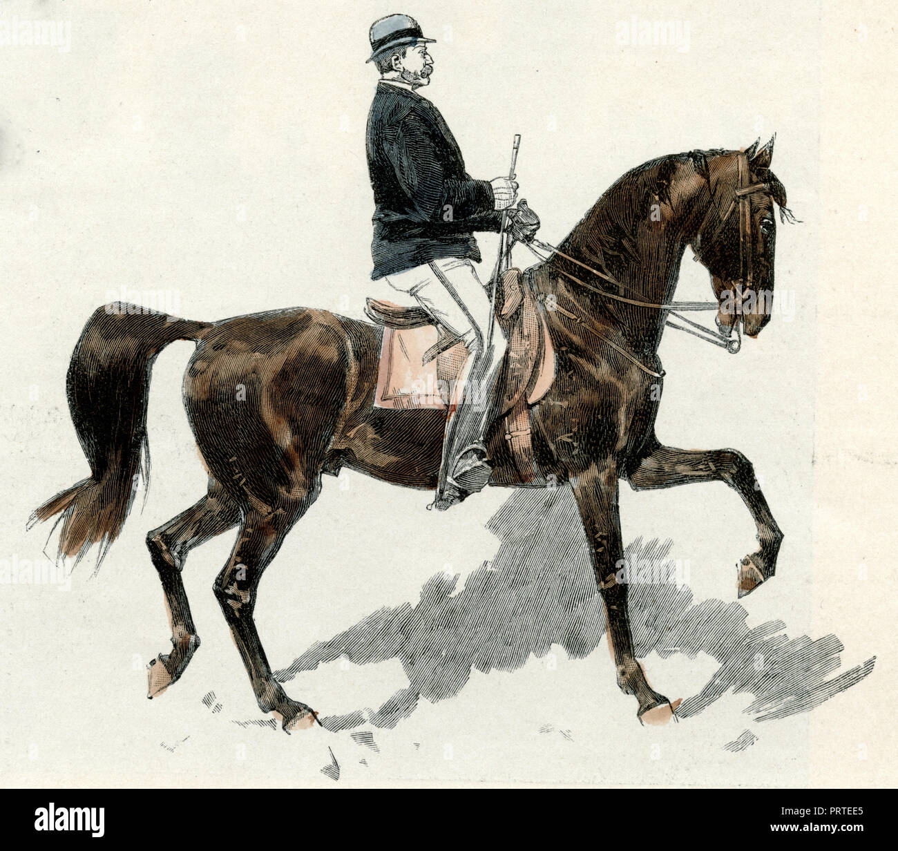 Vintage horse riding illustrations hi-res stock photography and images ...