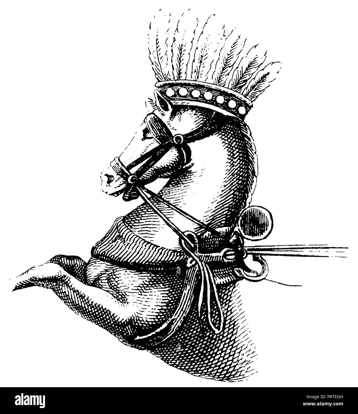 Ancient horse harness Black and White Stock Photos & Images - Alamy