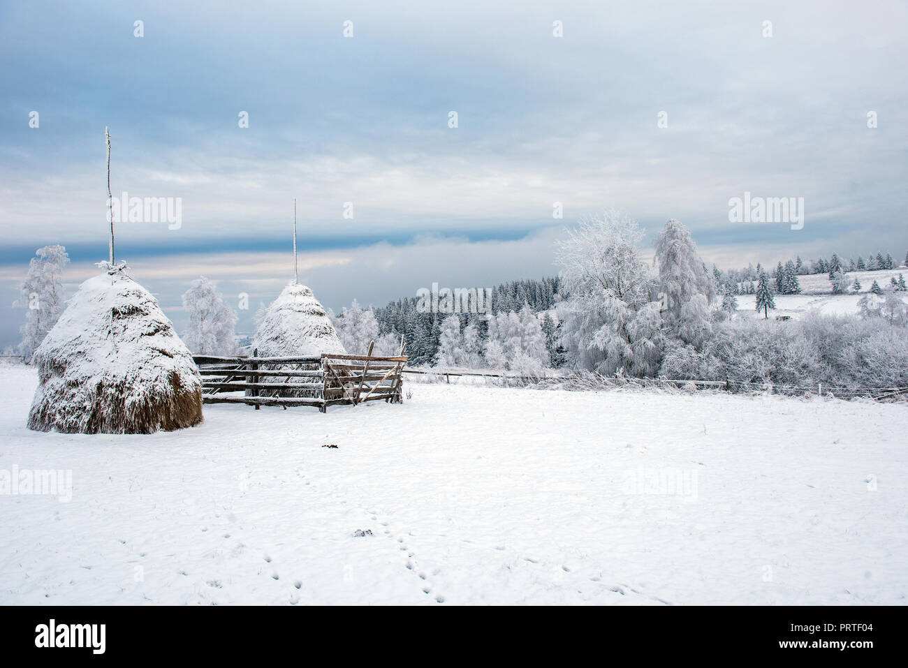 Winter countryside landscape with snow covered trees and hills Stock ...