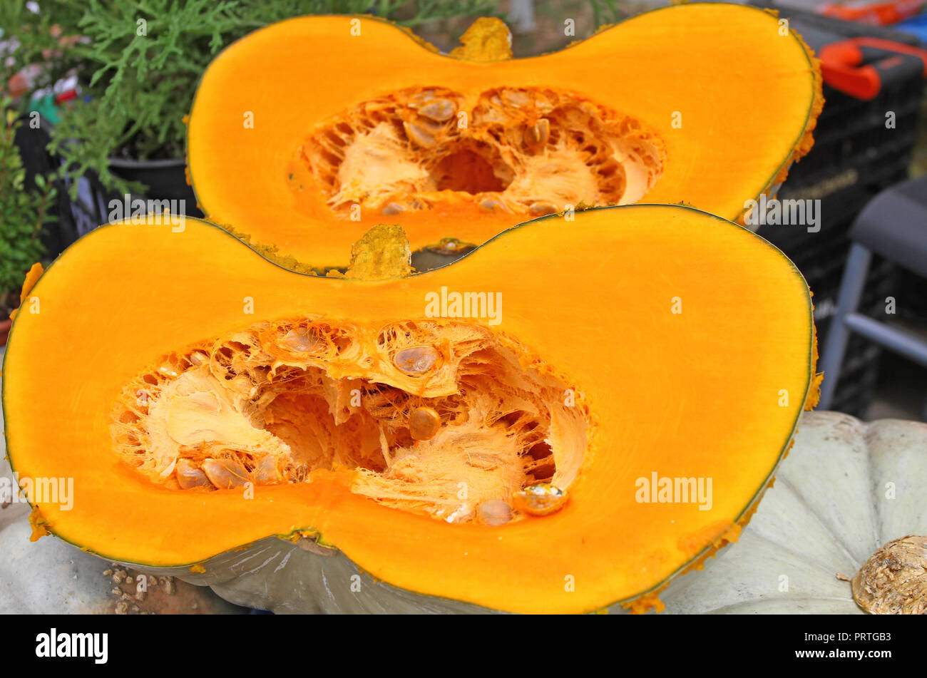 Organic Pumpkin slice for Halloween and Thanksgiving day holiday. Fresh ...