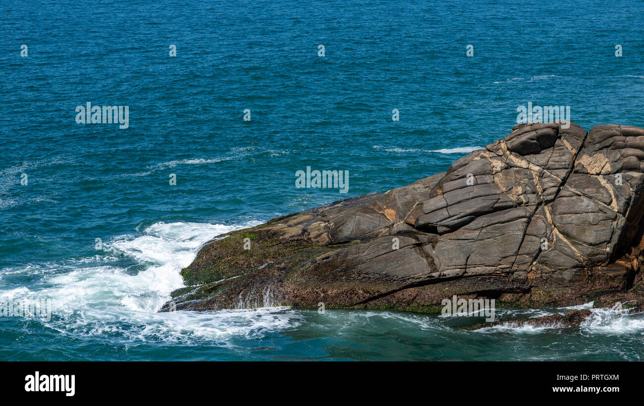 Interesting rock looks like animal face. Stones that look like animals ...