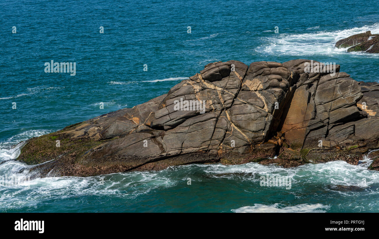 Interesting rock looks like animal face. Stones that look like animals ...