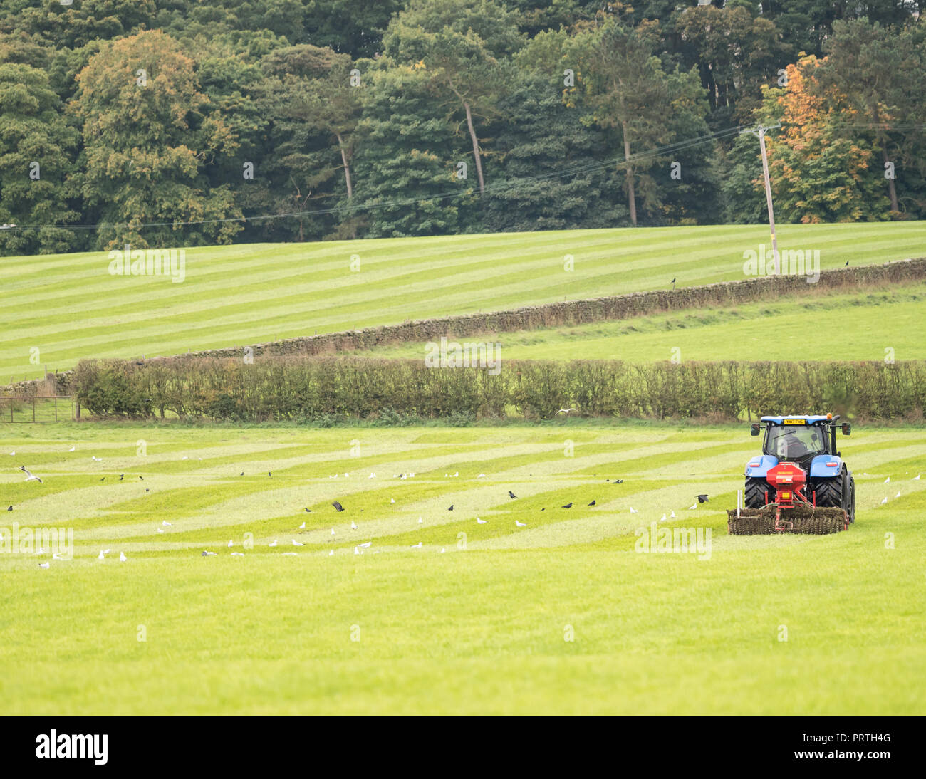 Cutting agronomy hi-res stock photography and images - Alamy