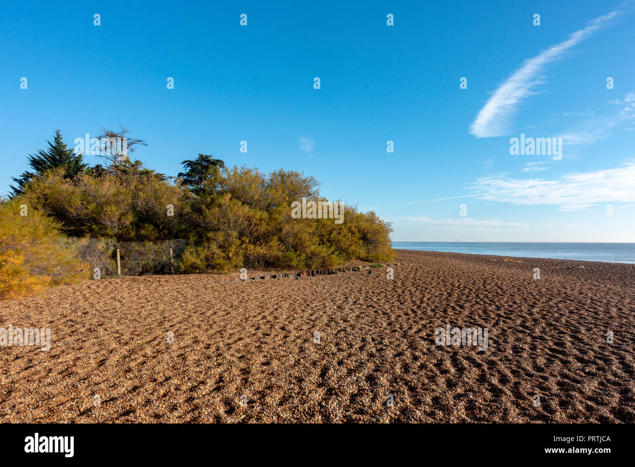 Seaside vegetation hi-res stock photography and images - Alamy