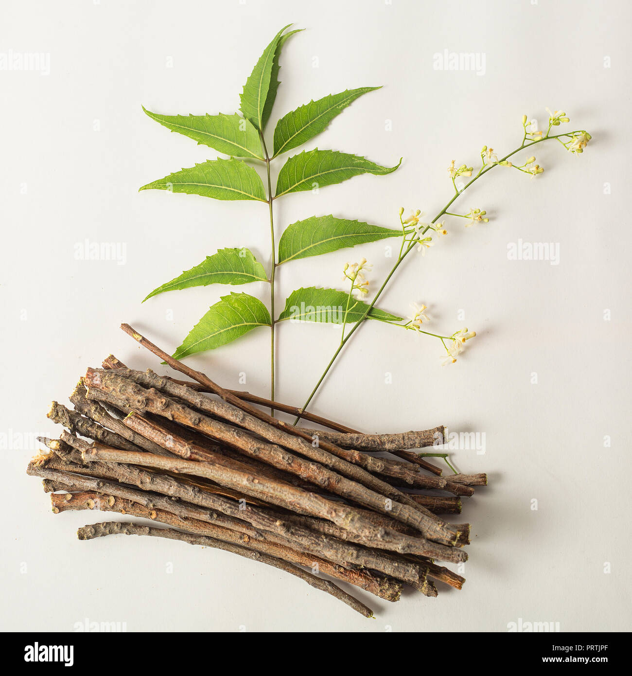 Neem sticks hi-res stock photography and images - Alamy
