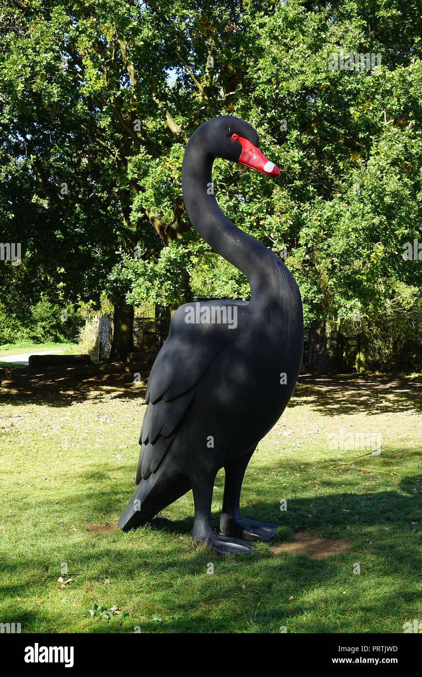 Giant Black Swan Sculpture at Barnwell Country Park, Northants Stock ...