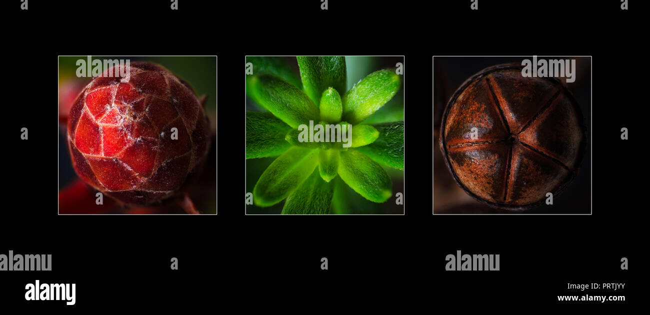 Triptych art artwork hi-res stock photography and images - Alamy