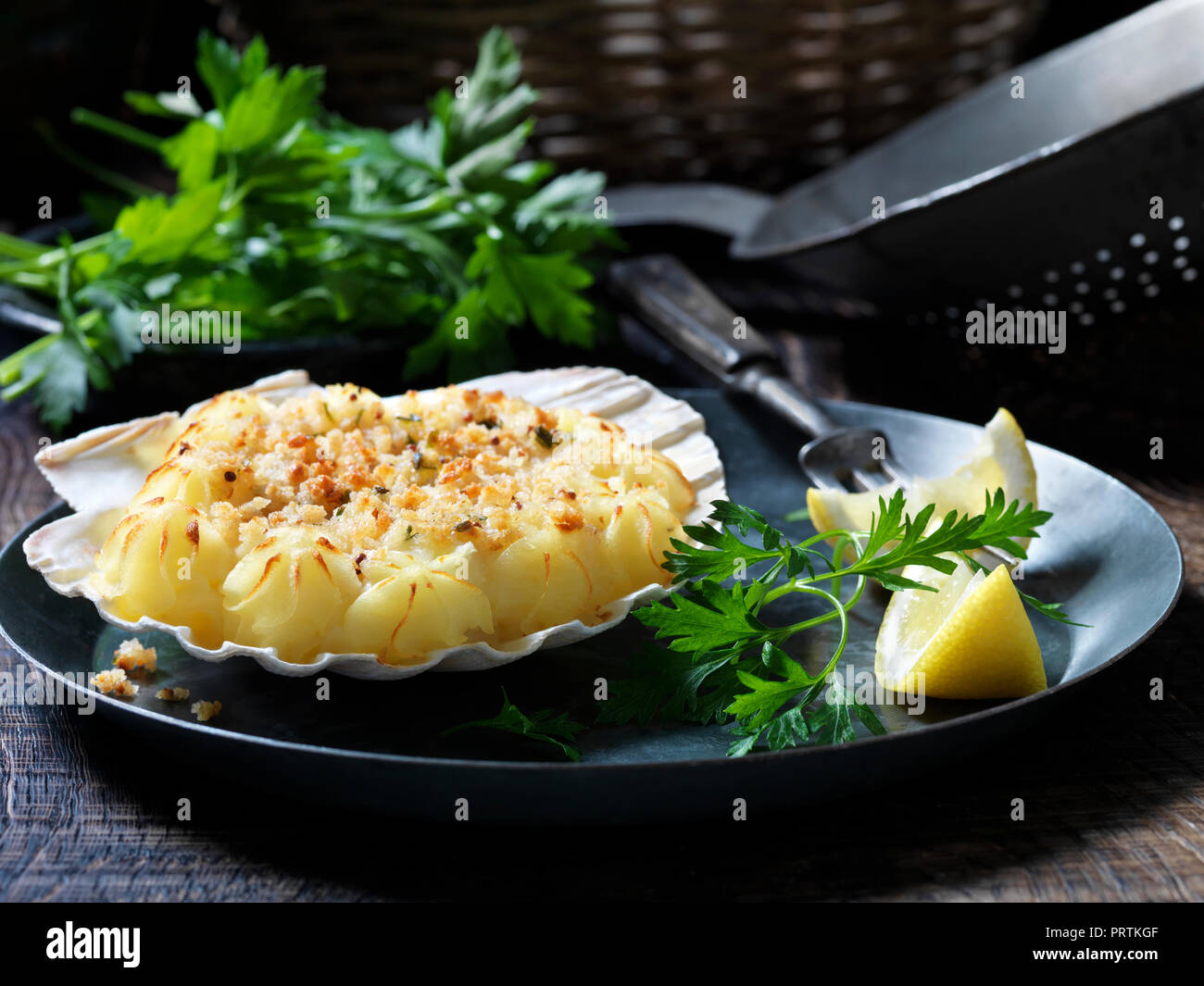 Seafood scallop starter Stock Photo - Alamy