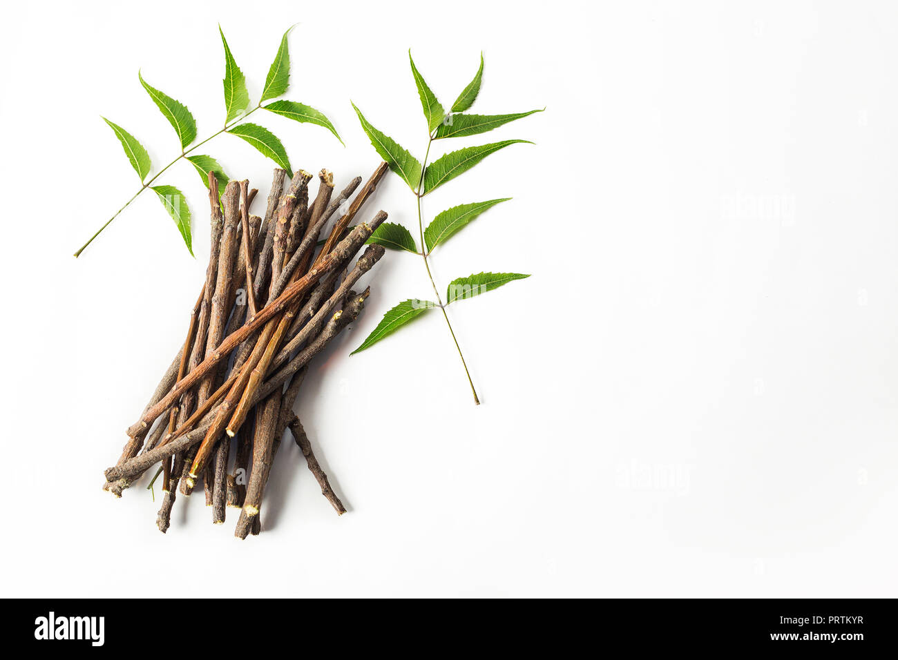 Neem sticks and Neem leaves. white isolated background Stock Photo - Alamy