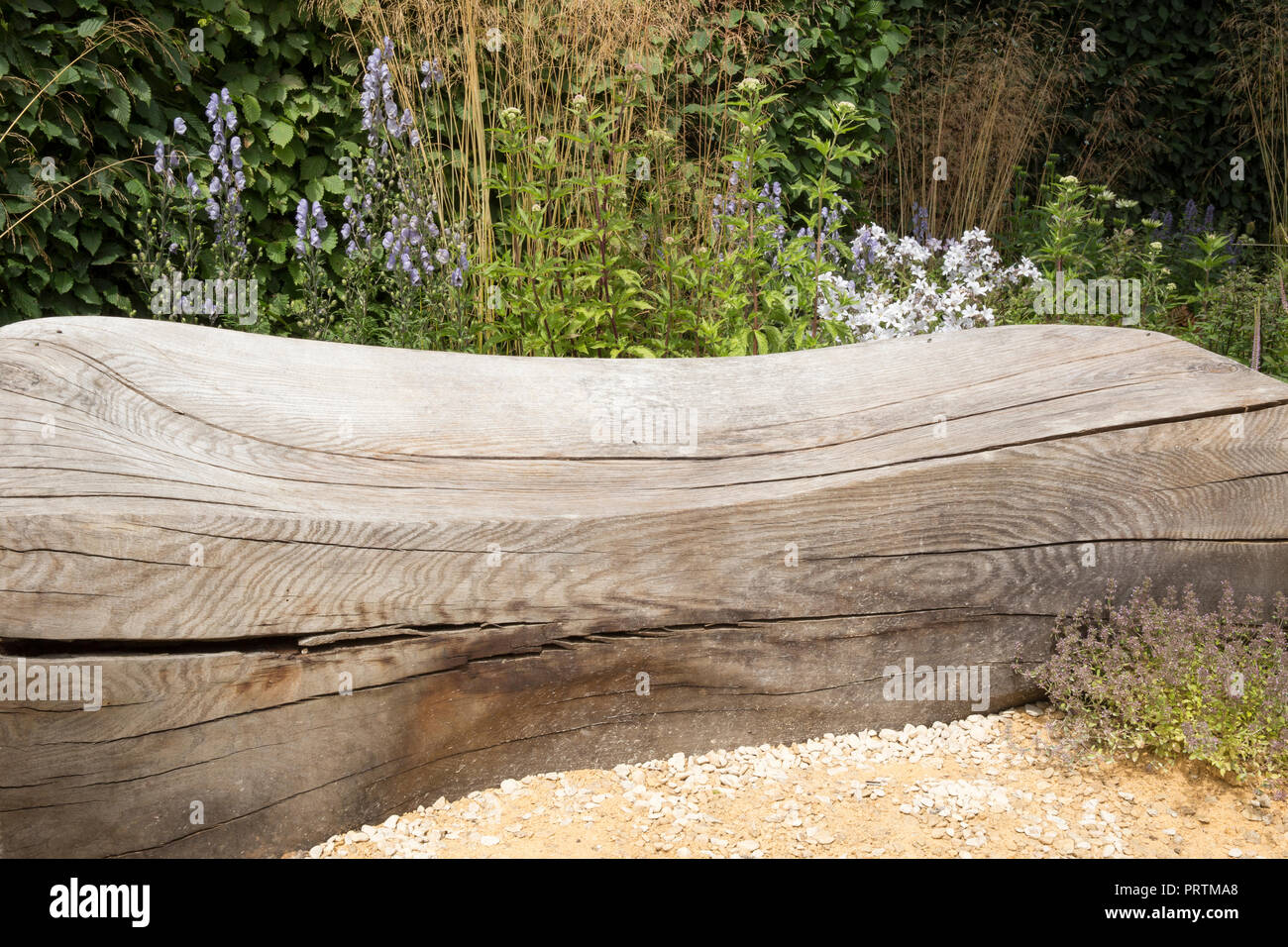 fallen oak tree wood wooden bench seating area, gravel path, planting ...