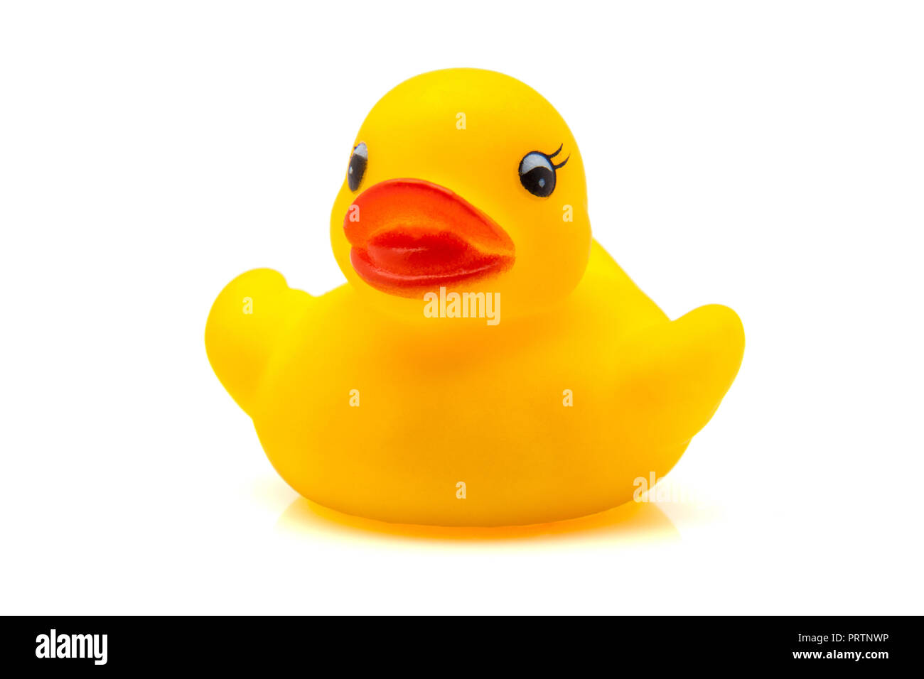 yellow gum duck on white fund Stock Photo - Alamy
