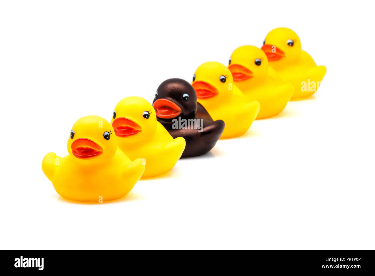 ducks in line on a white background Stock Photo - Alamy