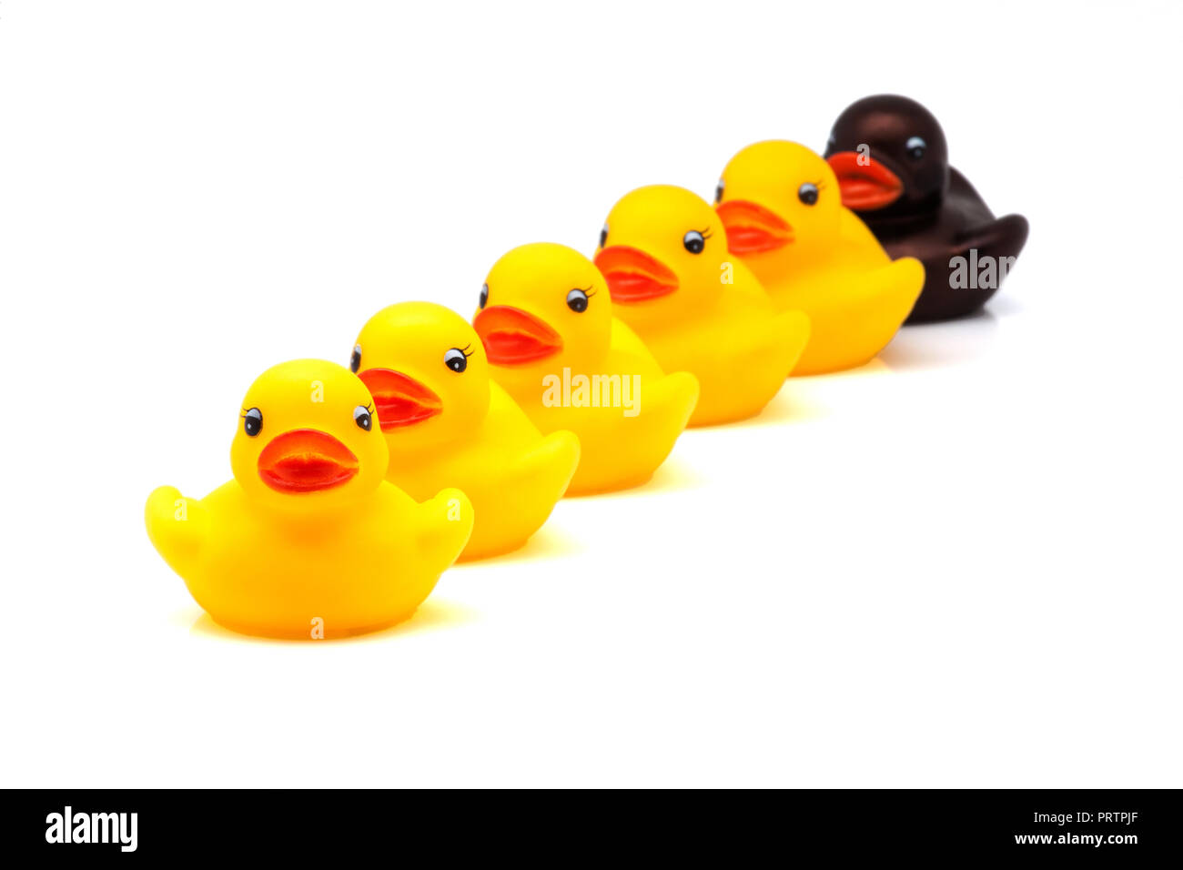 row of rubber ducks on white background Stock Photo - Alamy