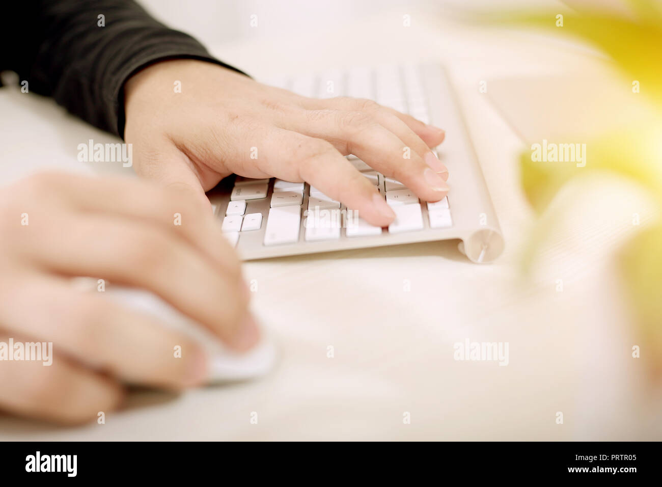 Boy typing on laptop keyboard hi-res stock photography and images - Alamy