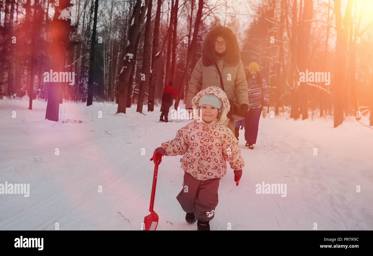 Winter park under the snow. January morning walk through the for Stock ...