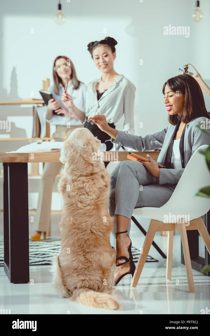 young multiethnic women in formal wear working with dog at office Stock ...