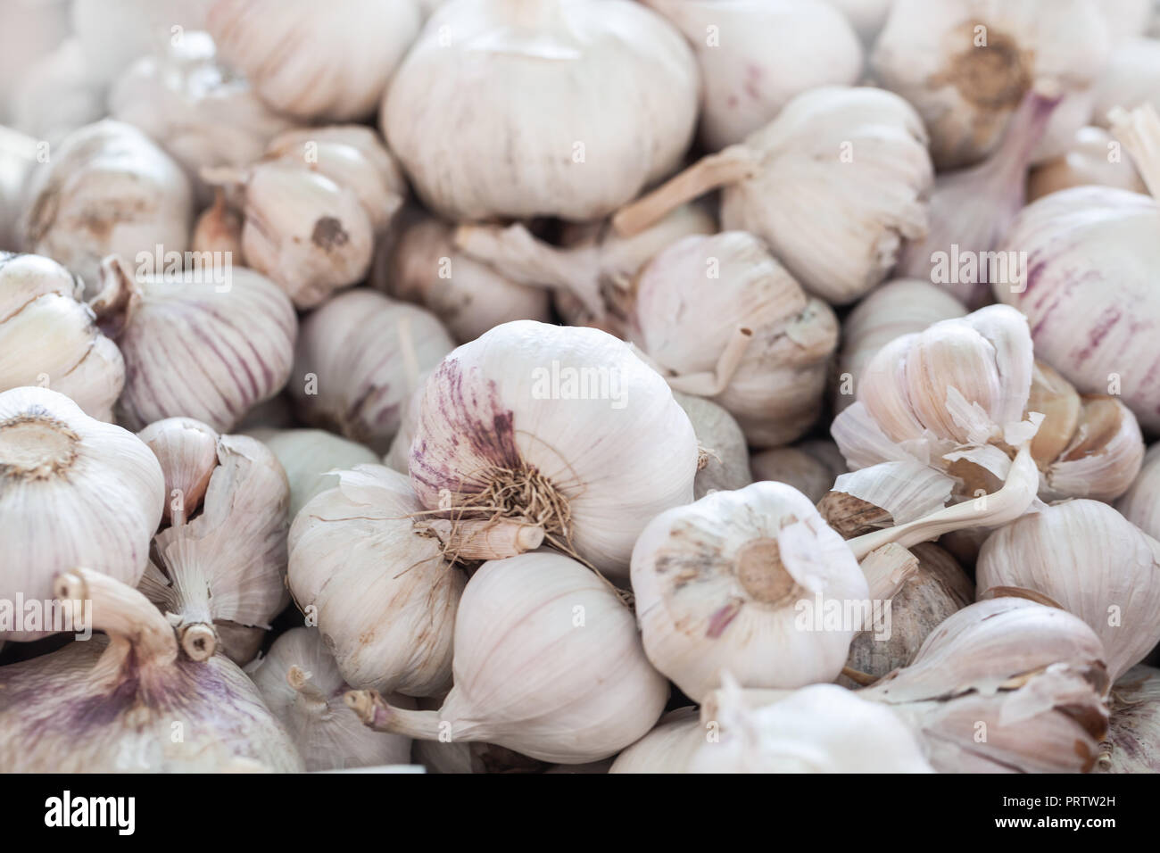 White garlic hi-res stock photography and images - Alamy