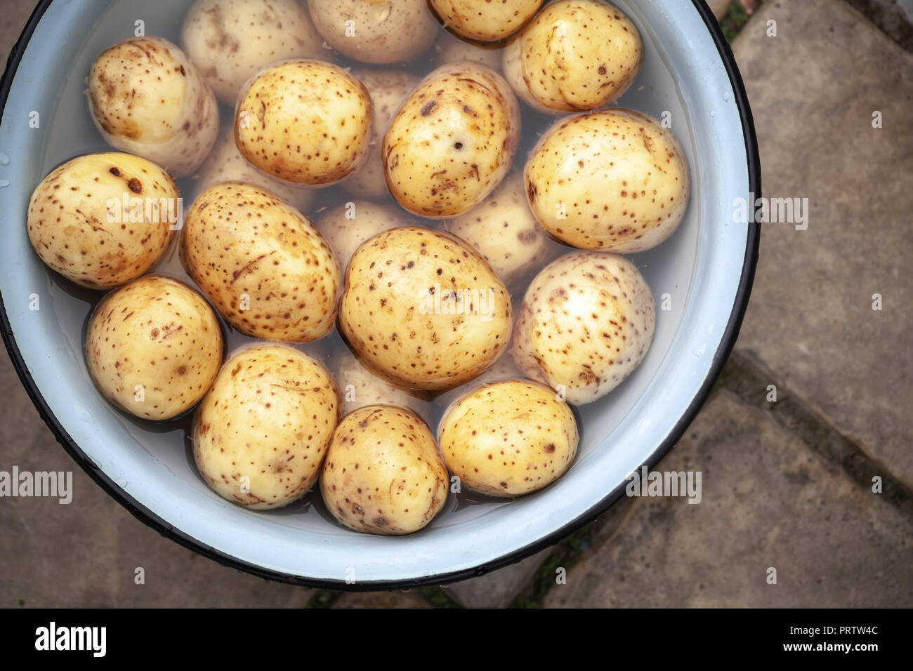 Raw wet potatoes just after washing are in blue round bowl with water ...