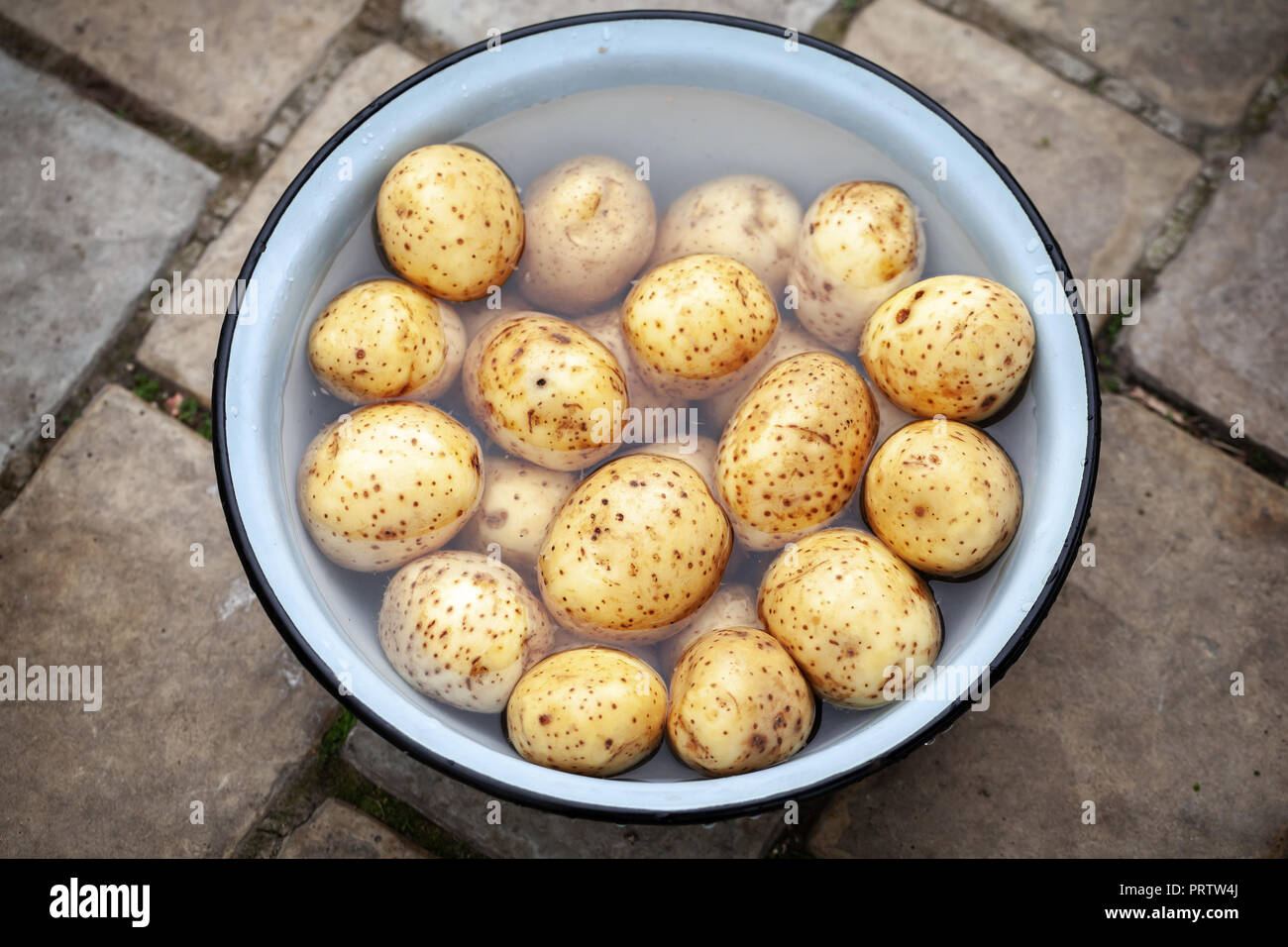 Raw wet potatoes just after washing lay in blue round bowl with water ...