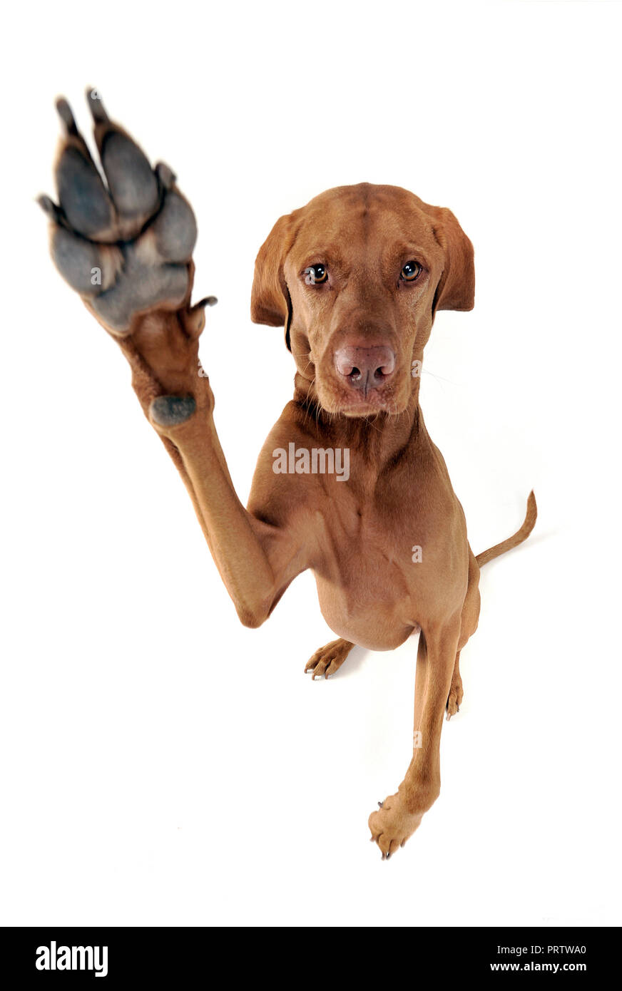 Give friend Cut Out Stock Images & Pictures - Alamy