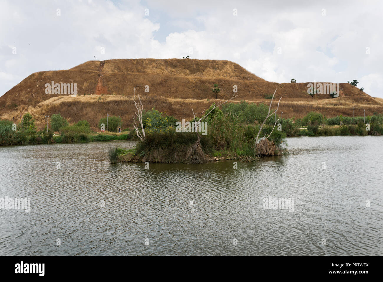 Hod haSharon park, Israel Stock Photo - Alamy