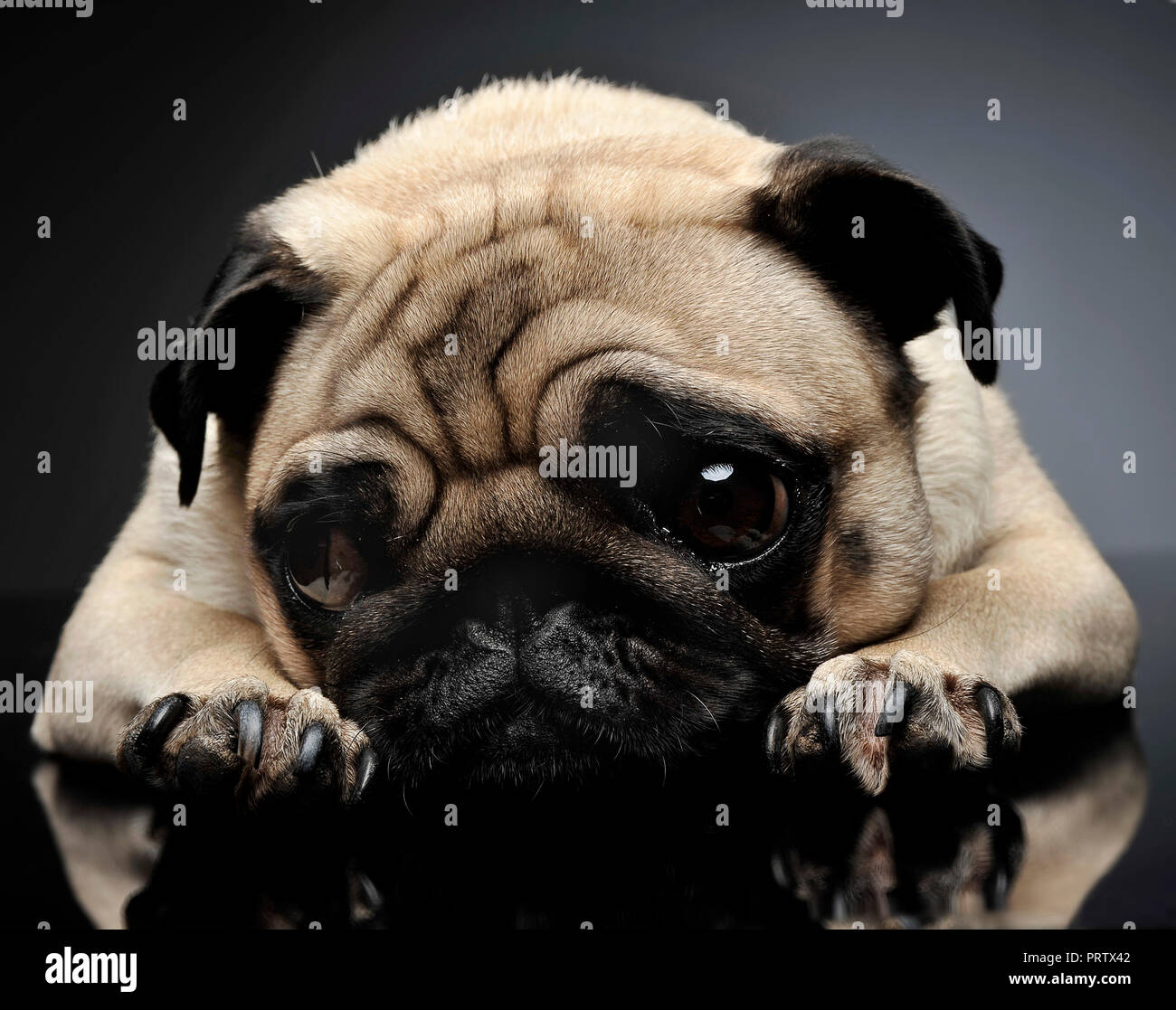 Full legth hi-res stock photography and images - Alamy