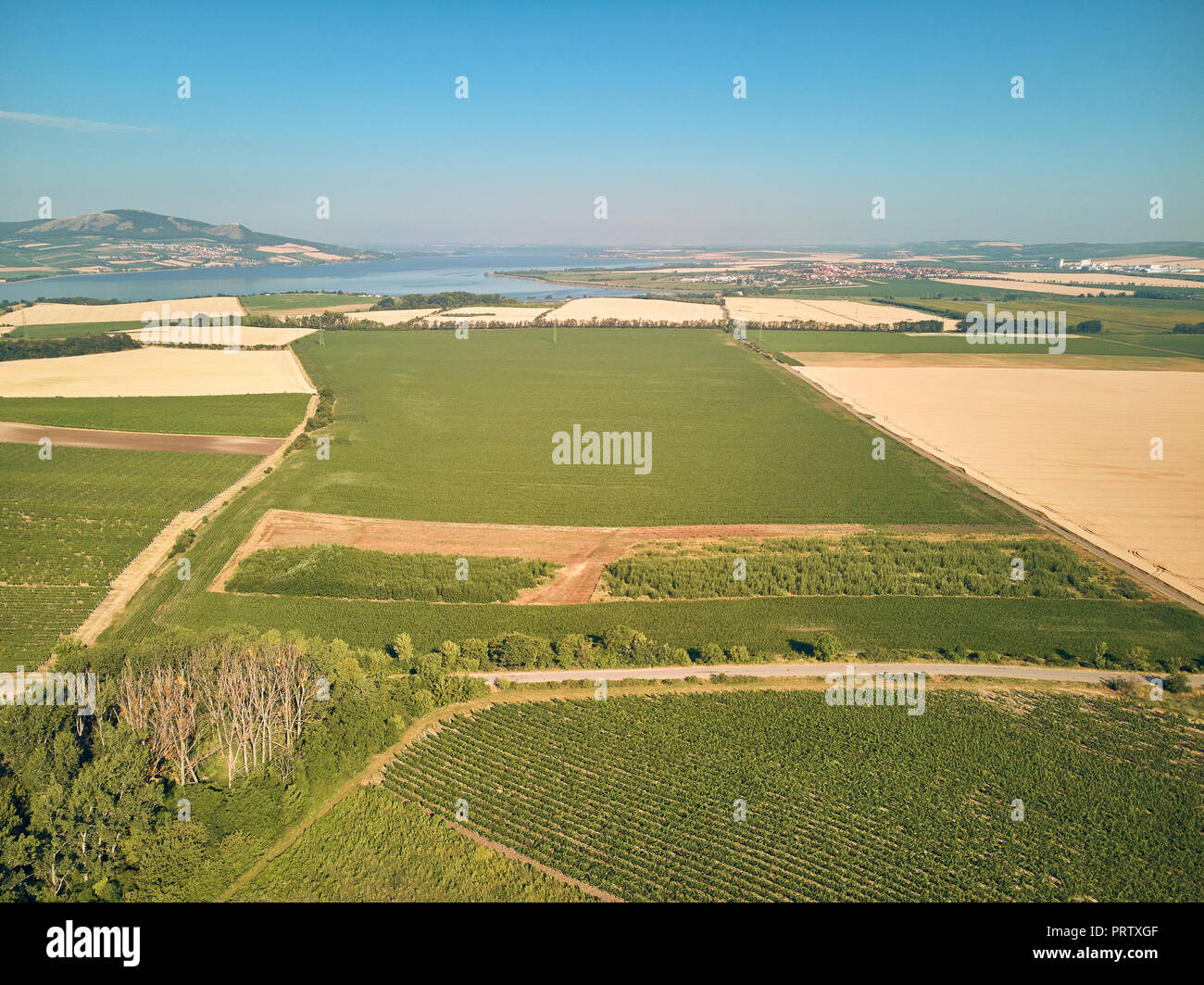 Aerial view of green fields and trees, Czech Republic Stock Photo - Alamy