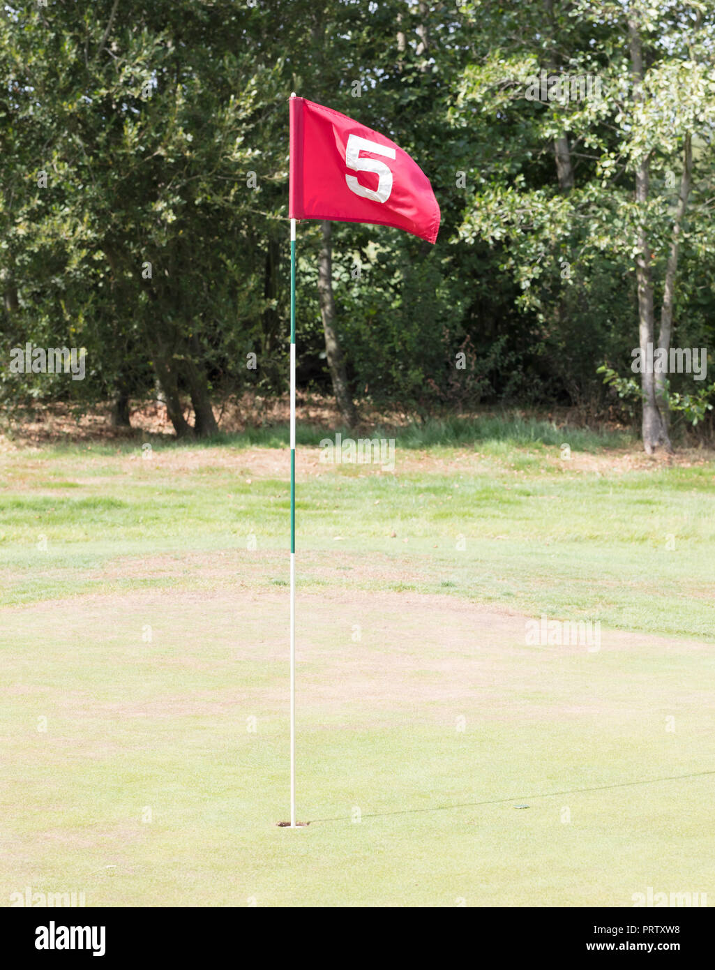 Golf track hi-res stock photography and images - Alamy