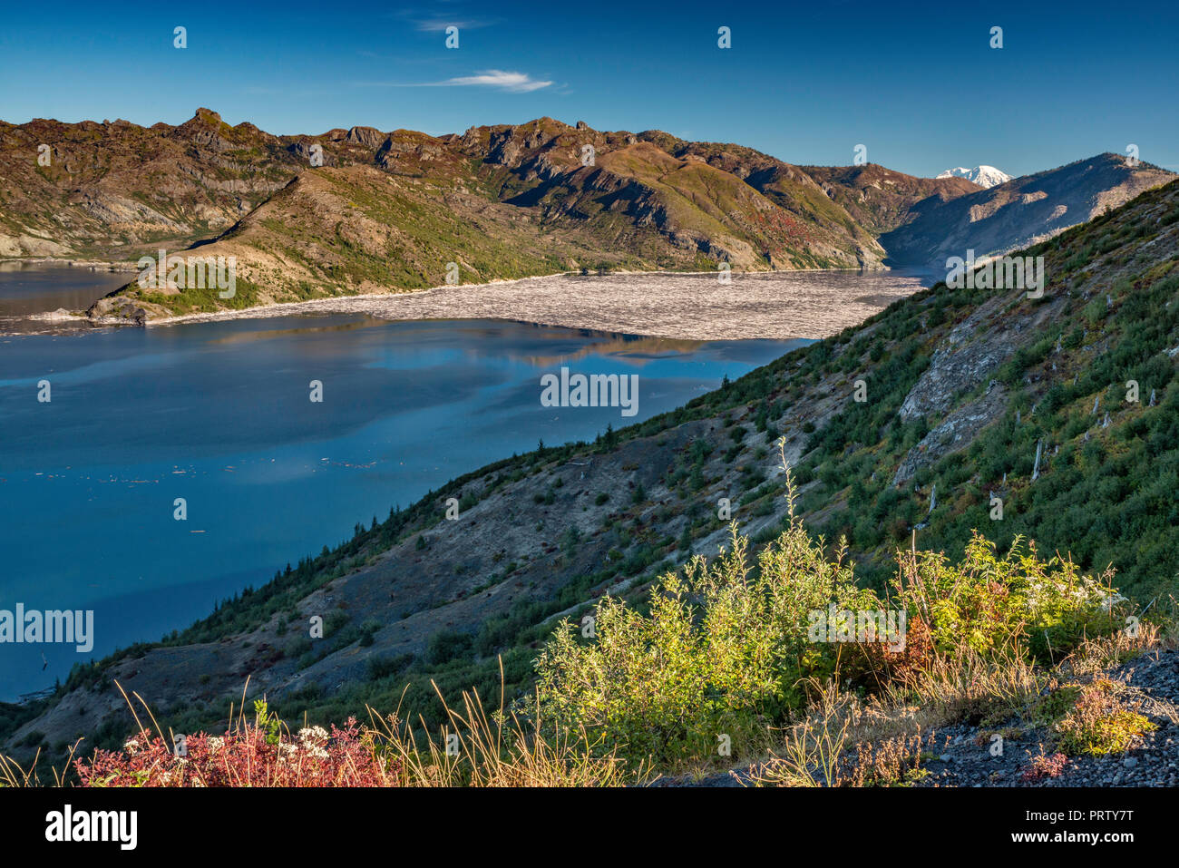 Spirit lake mount st helens hi-res stock photography and images - Alamy