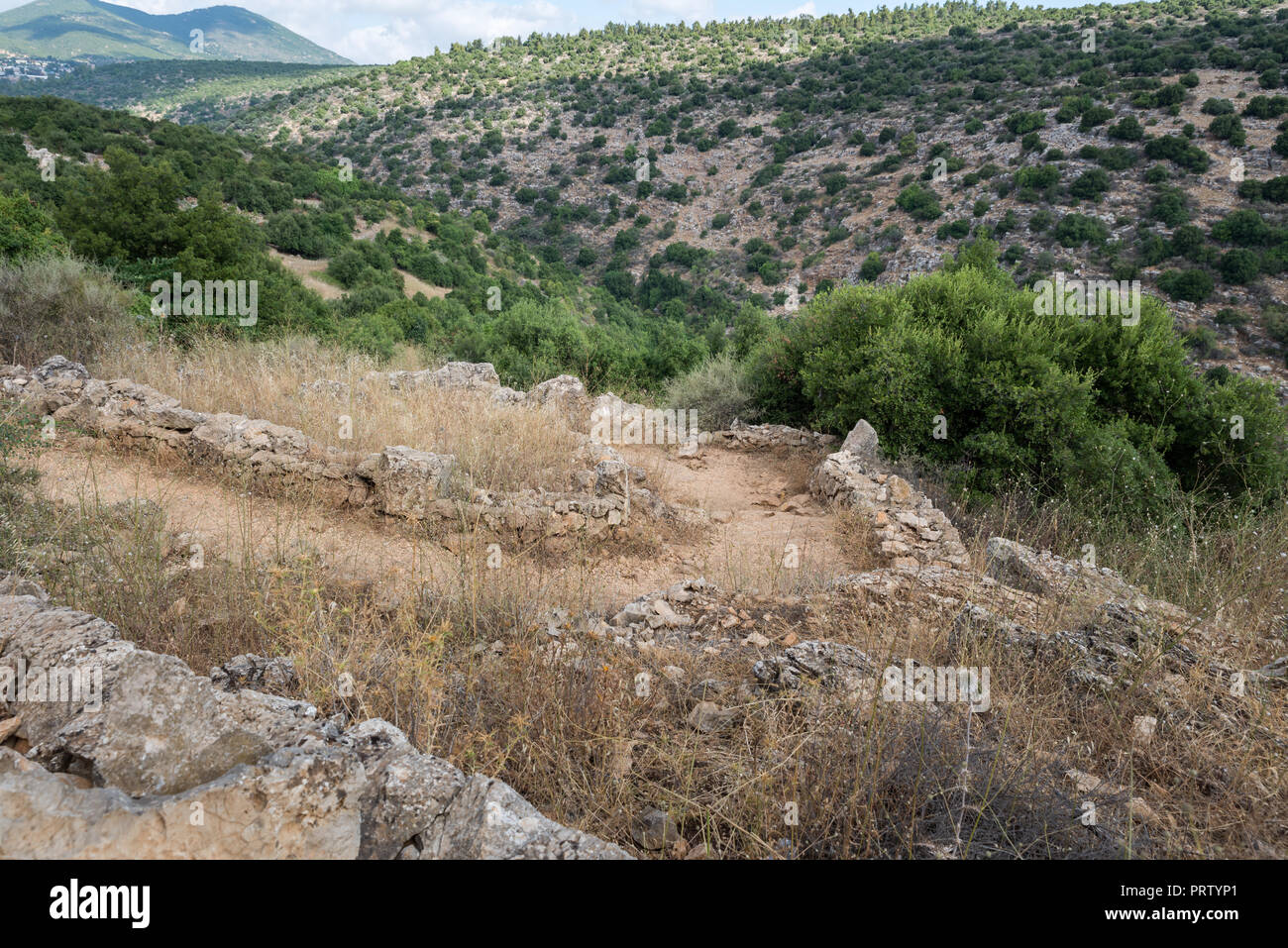 Amud stream nature reserve hi-res stock photography and images - Alamy