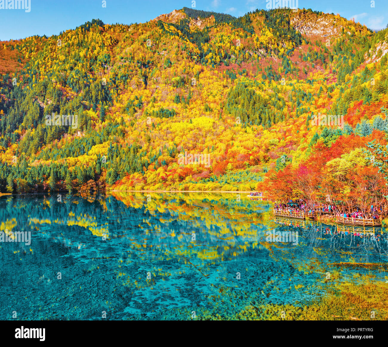 Jiuzhaigou National Park Five Flower Stock Photos & Jiuzhaigou National ...