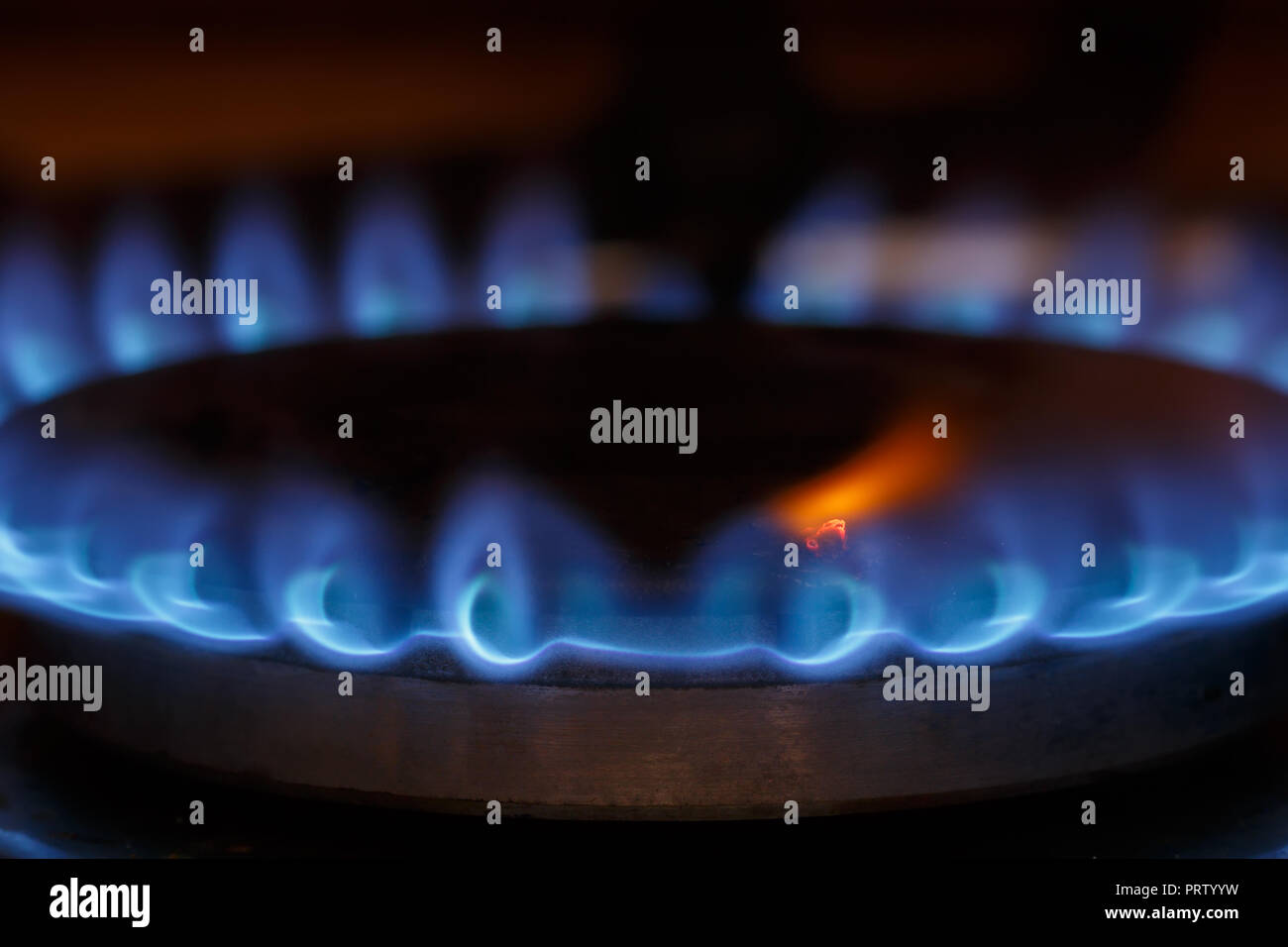 Gas burner flame at gas stove Stock Photo - Alamy
