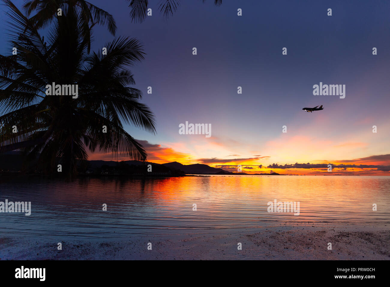 Silhouette coconut palm tree and plane flying over the sea with Stock ...