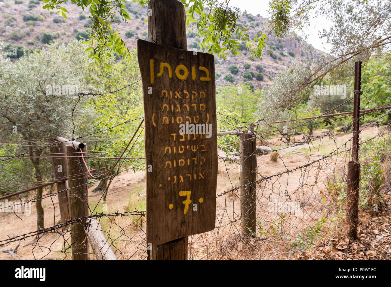 Amud stream nature reserve hi-res stock photography and images - Alamy