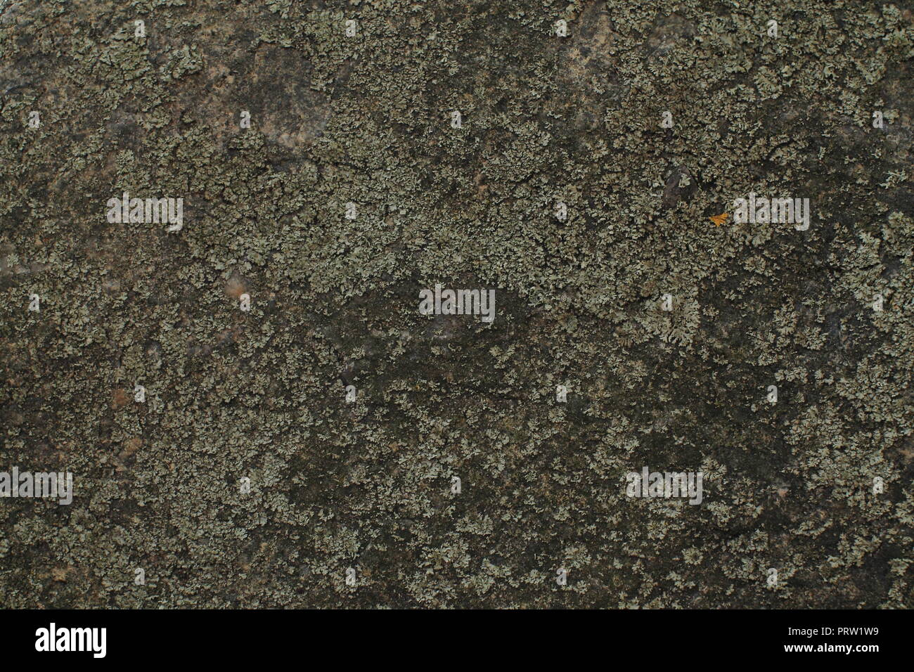 Abstract natural rock stone texture design background Stock Photo - Alamy