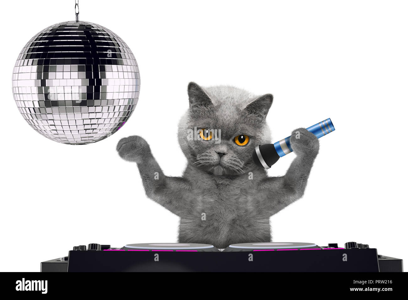 Cute cat singing with microphone a karaoke song in a night club ...