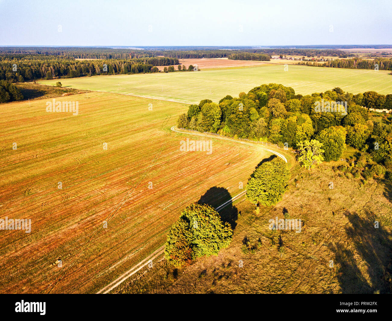 View from the orange farm with orange trees hi-res stock photography ...