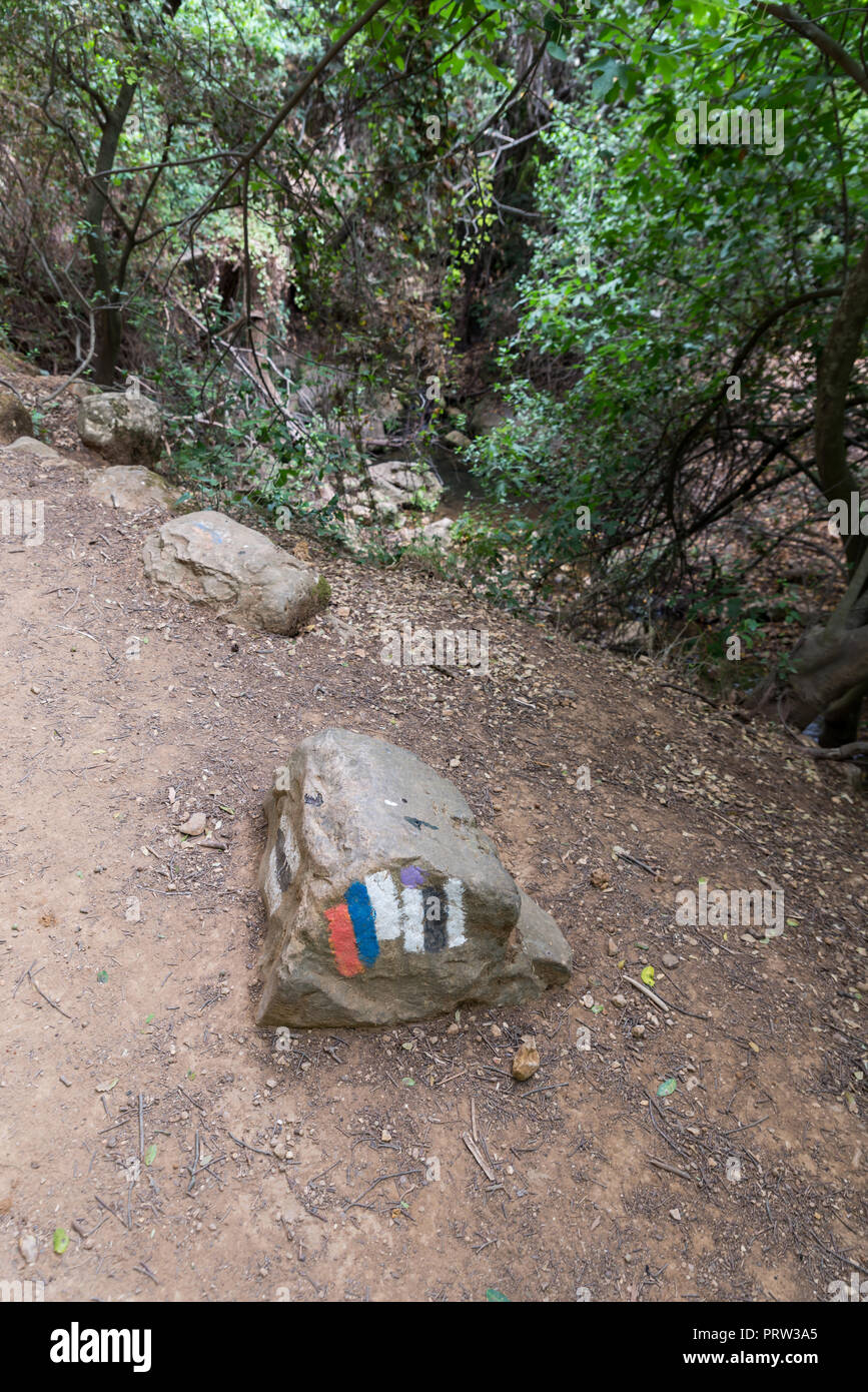 At Amud Stream Nature Reserve in Northern Israel Stock Photo - Alamy