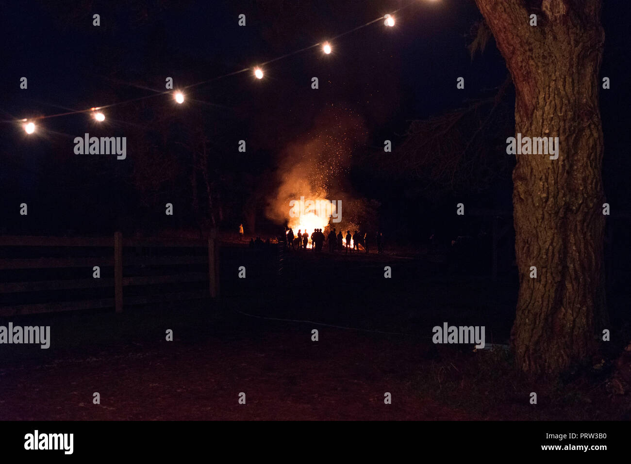 Silhouetted crowd watching bonfire in rural field at night Stock Photo ...