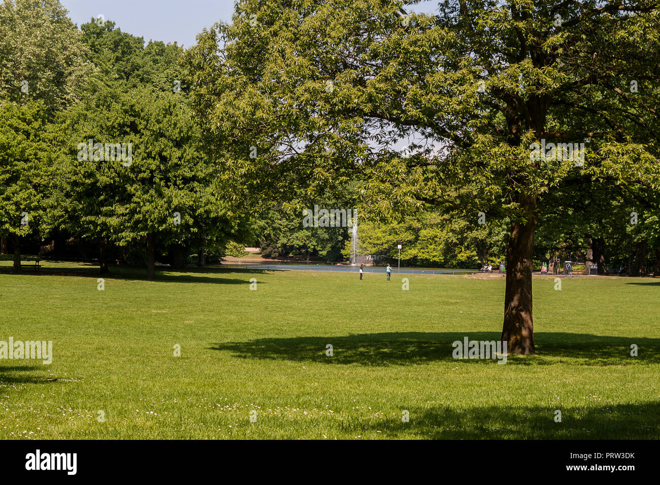Beautiful park scene in public park with green grass field, green tree ...