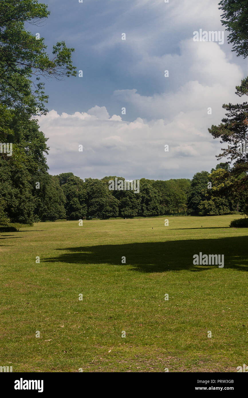 Beautiful park scene in public park with green grass field and green ...