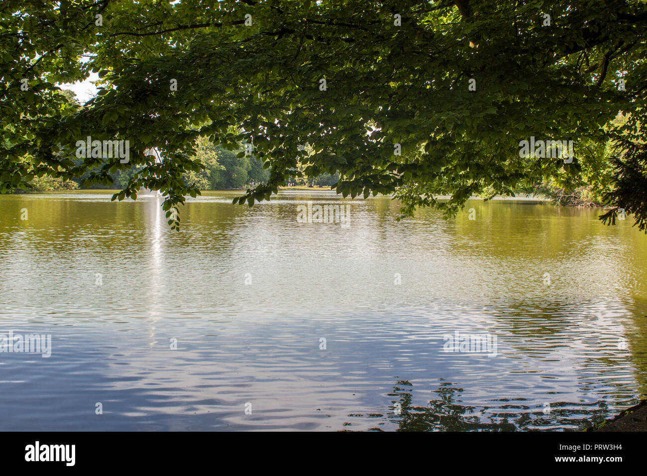 Beautiful park scene in public park with lawn, trees, water and ...