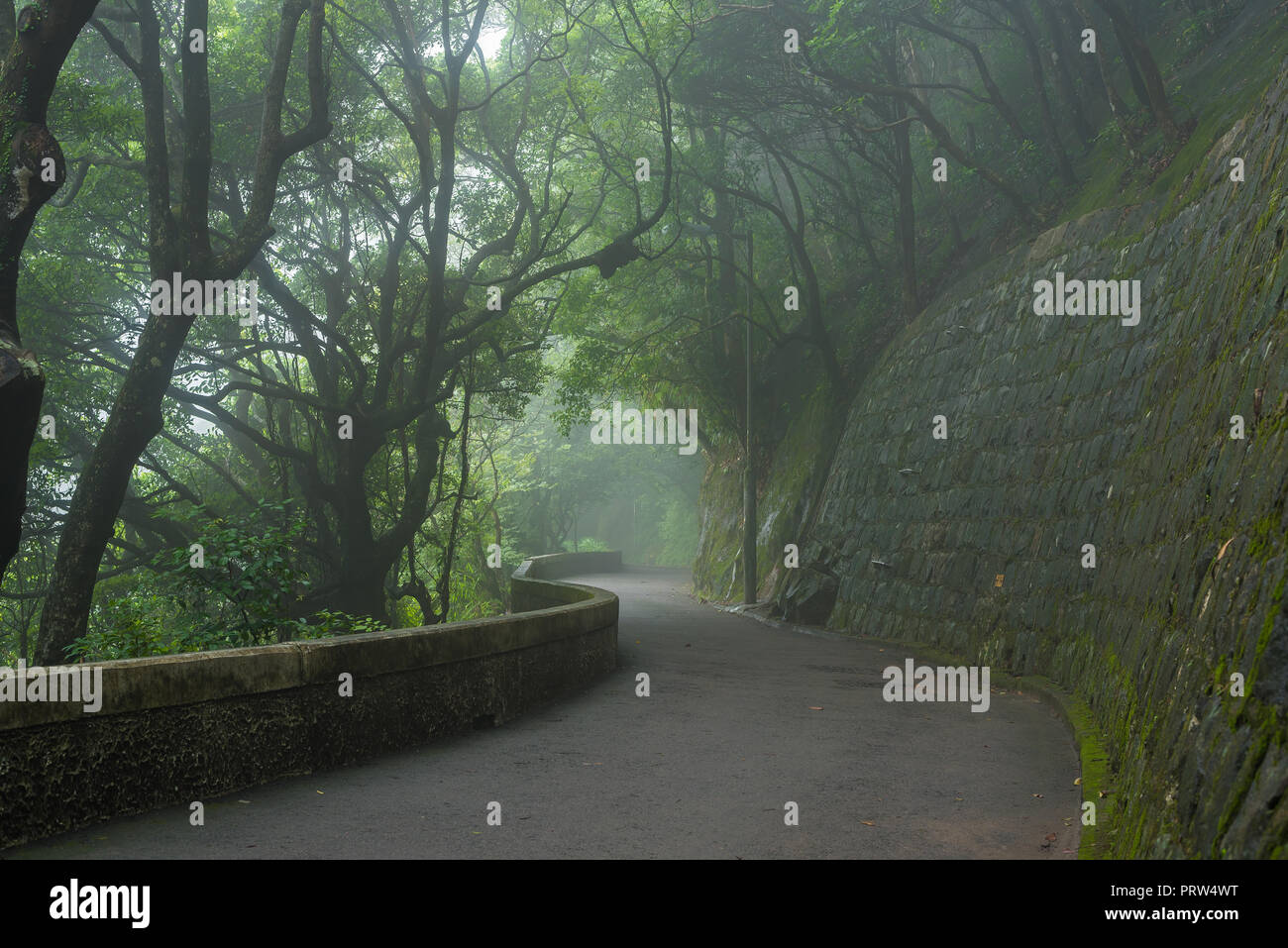 Lonely curvy walking path along the mountain with low lying cloud Stock ...