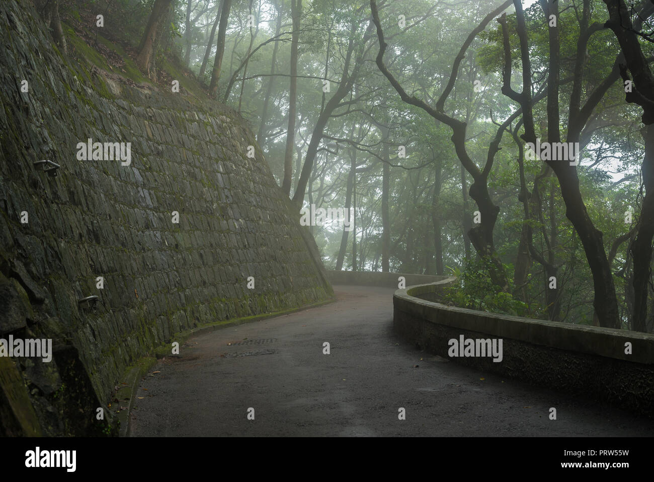 Lonely curvy walking path along the mountain with low lying cloud Stock ...