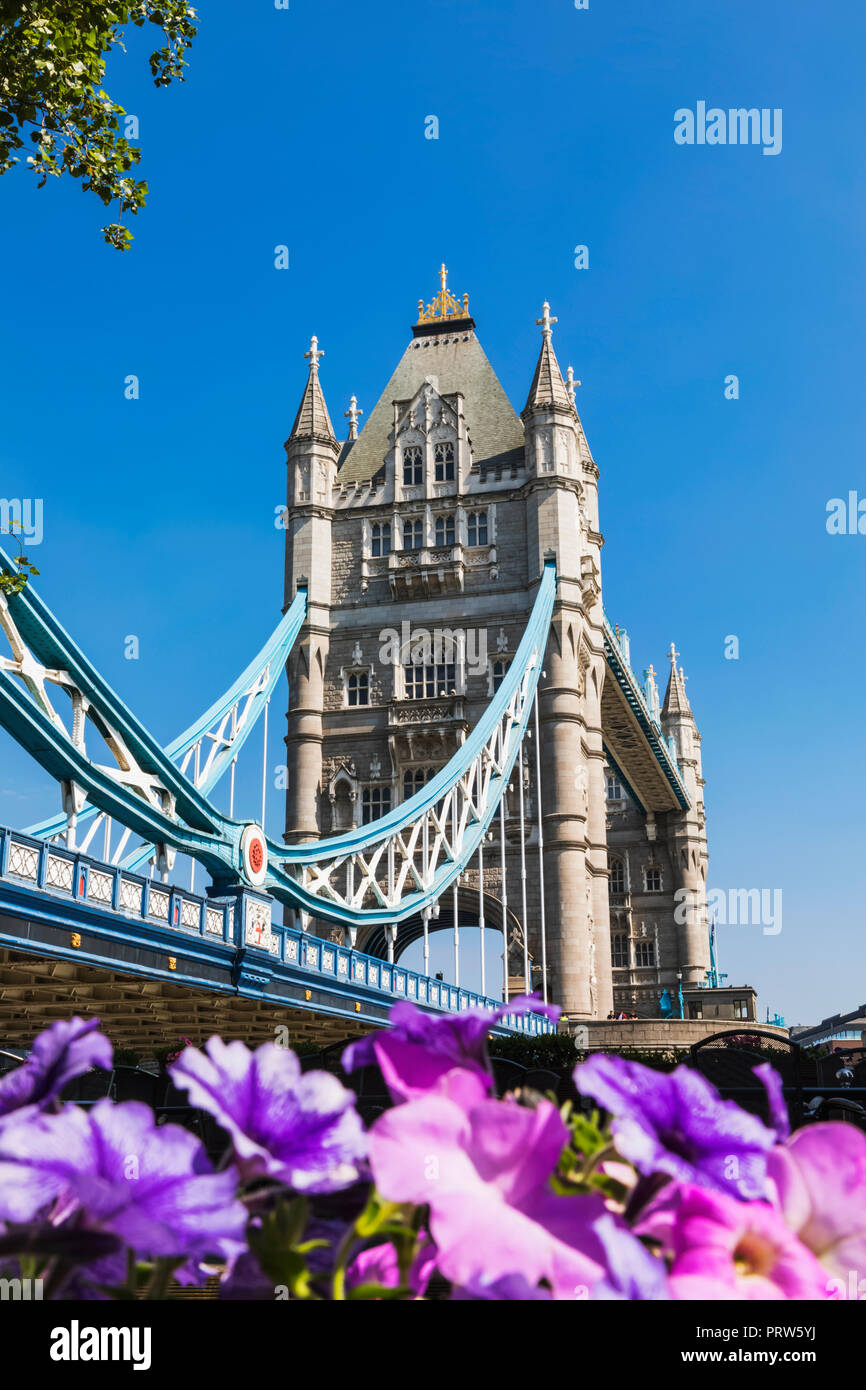 England, London, Tower Bridge with Summer Flowers in Foreground Stock ...