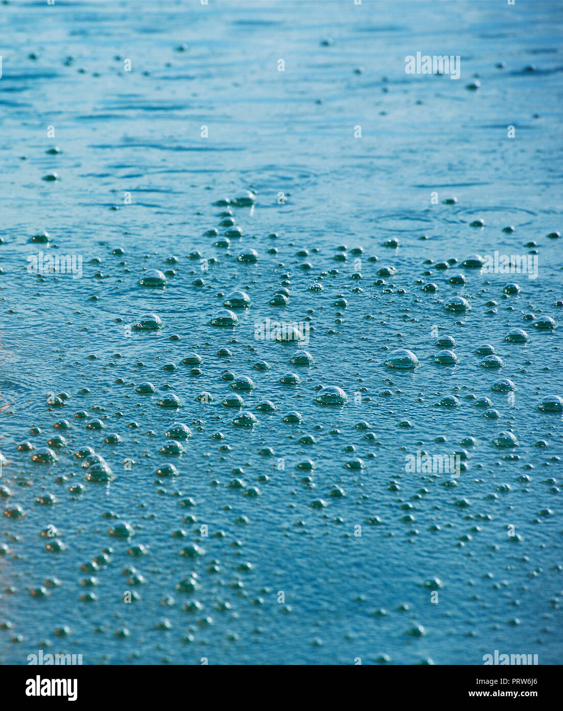 Water and rain drops background, abstract view, Drops of rain. Autumn ...