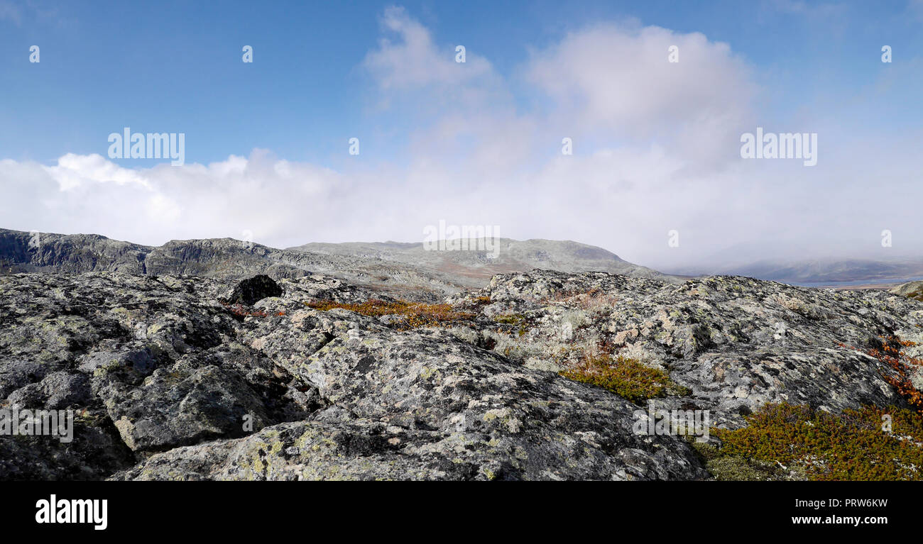 Hallingdal hi-res stock photography and images - Alamy